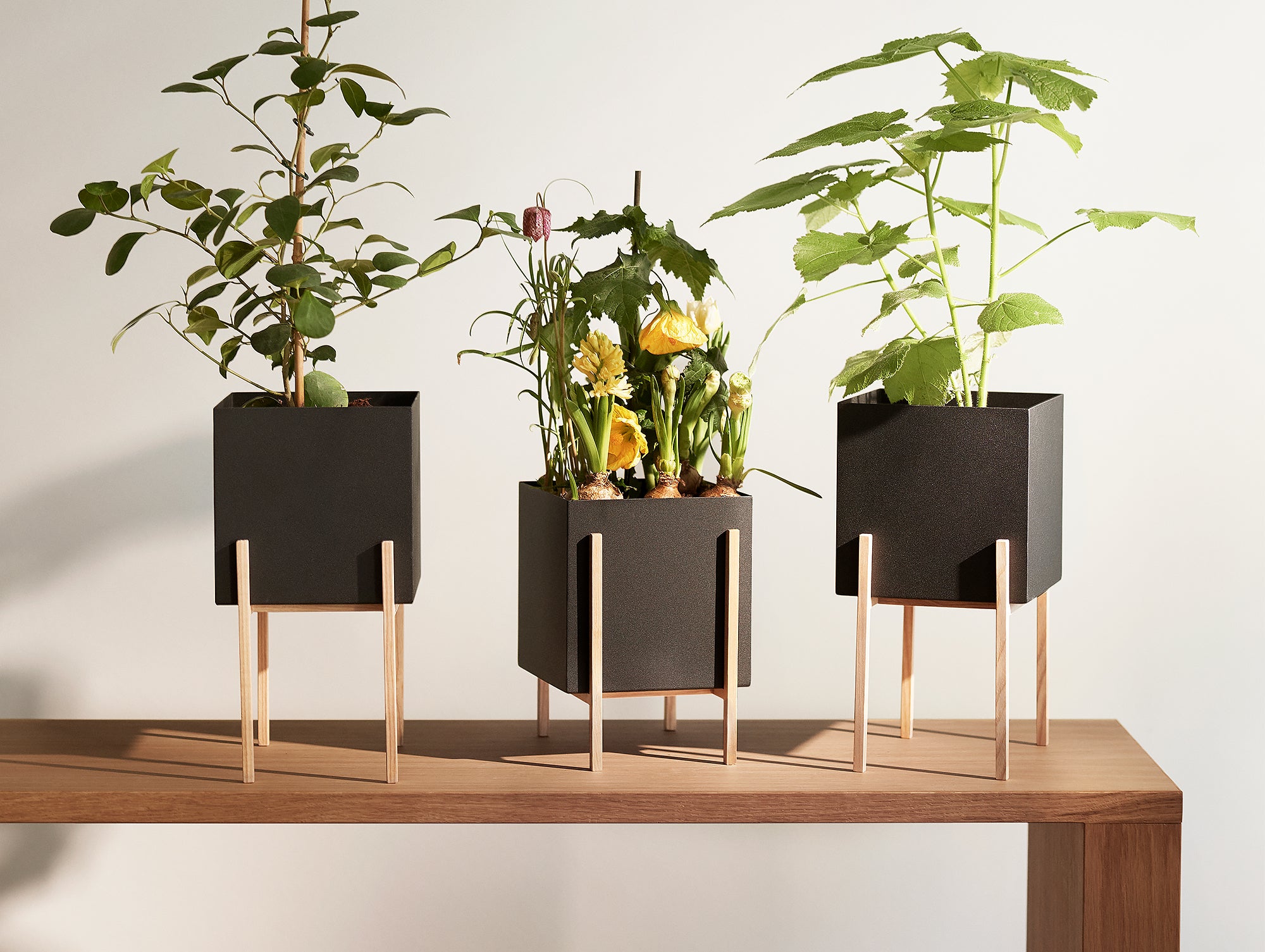 Botanic Pot by Design House Stockholm – Really Well Made